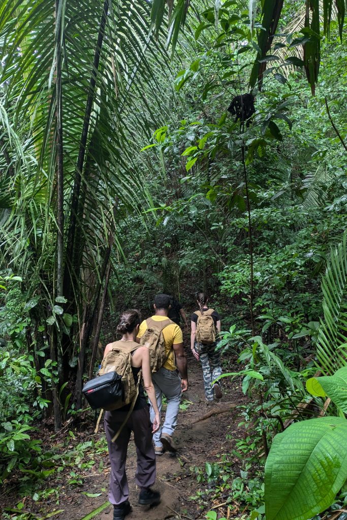 Black Hole Drop: Adrenaline Guaranteed – Enter Belize